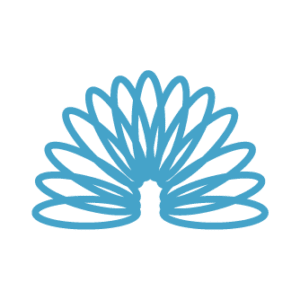 Auto Dealer Financing - PFS Corp.