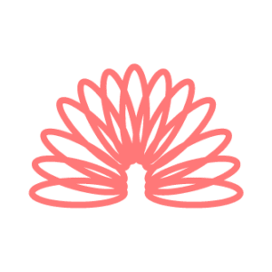 Consumer Auto Loans - Subprime Auto Financing - PFS Corp.